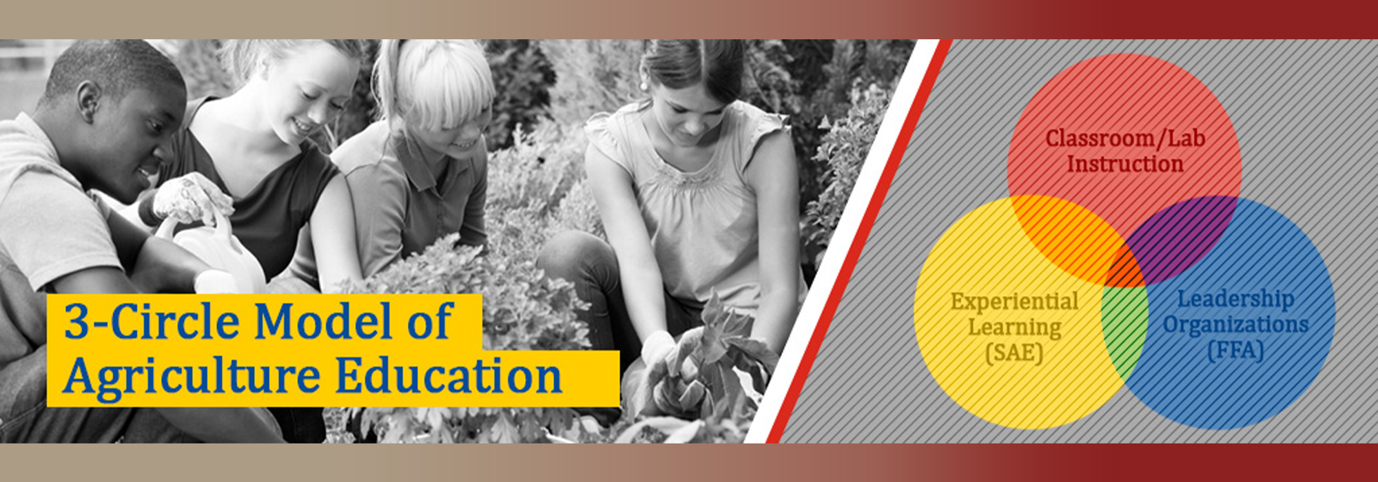 Georgia Agricultural Education